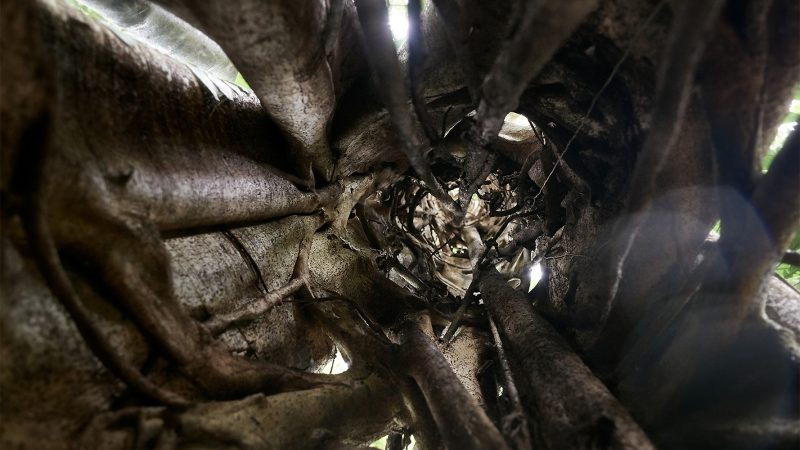 Portfolio 1 – Hari Pulko