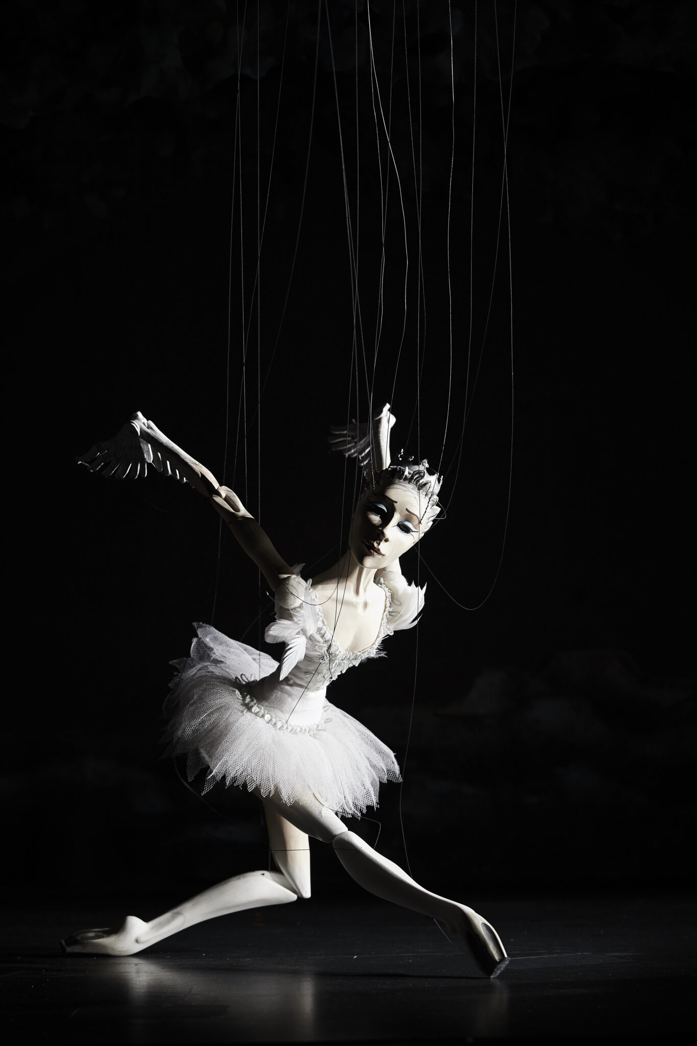 IMAGE & PORTRAIT – Hari Pulko